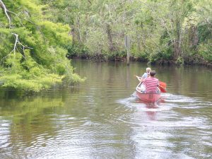 About The River - Loxahatchee River District